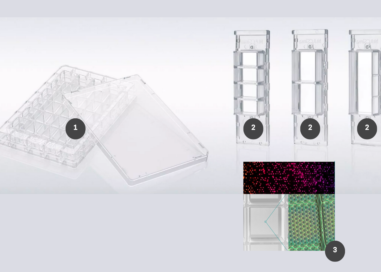 MACSima™, the spatial biology platform from Miltenyi Biotec