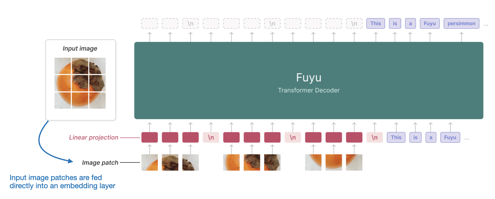 Understanding Multimodal LLMs - by Sebastian Raschka, PhD