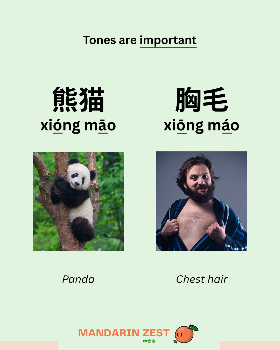 A Compilation of the Best Chinese Learning Memes