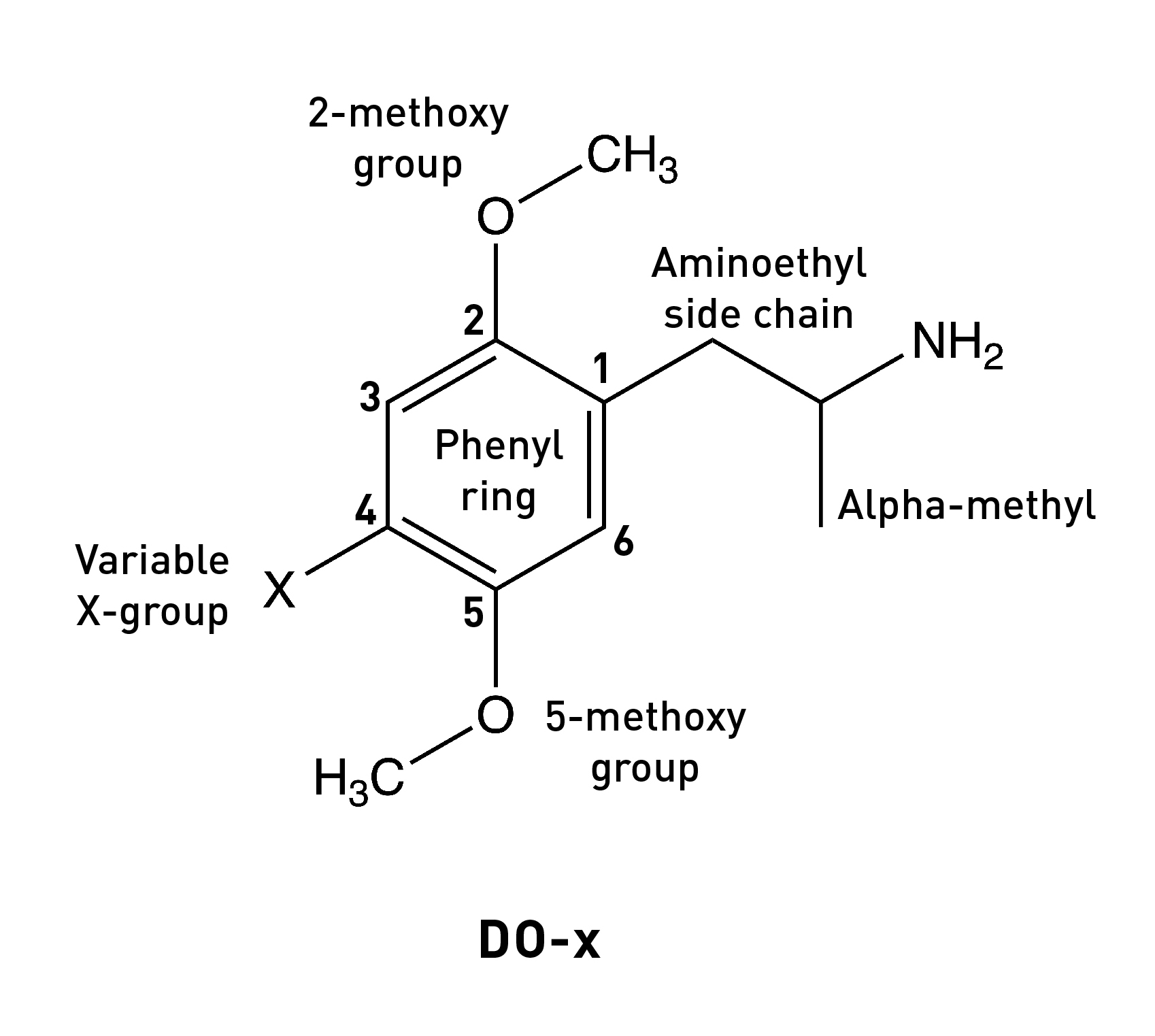 The story of Bromo-DragonFLY - by Andrew R. Gallimore