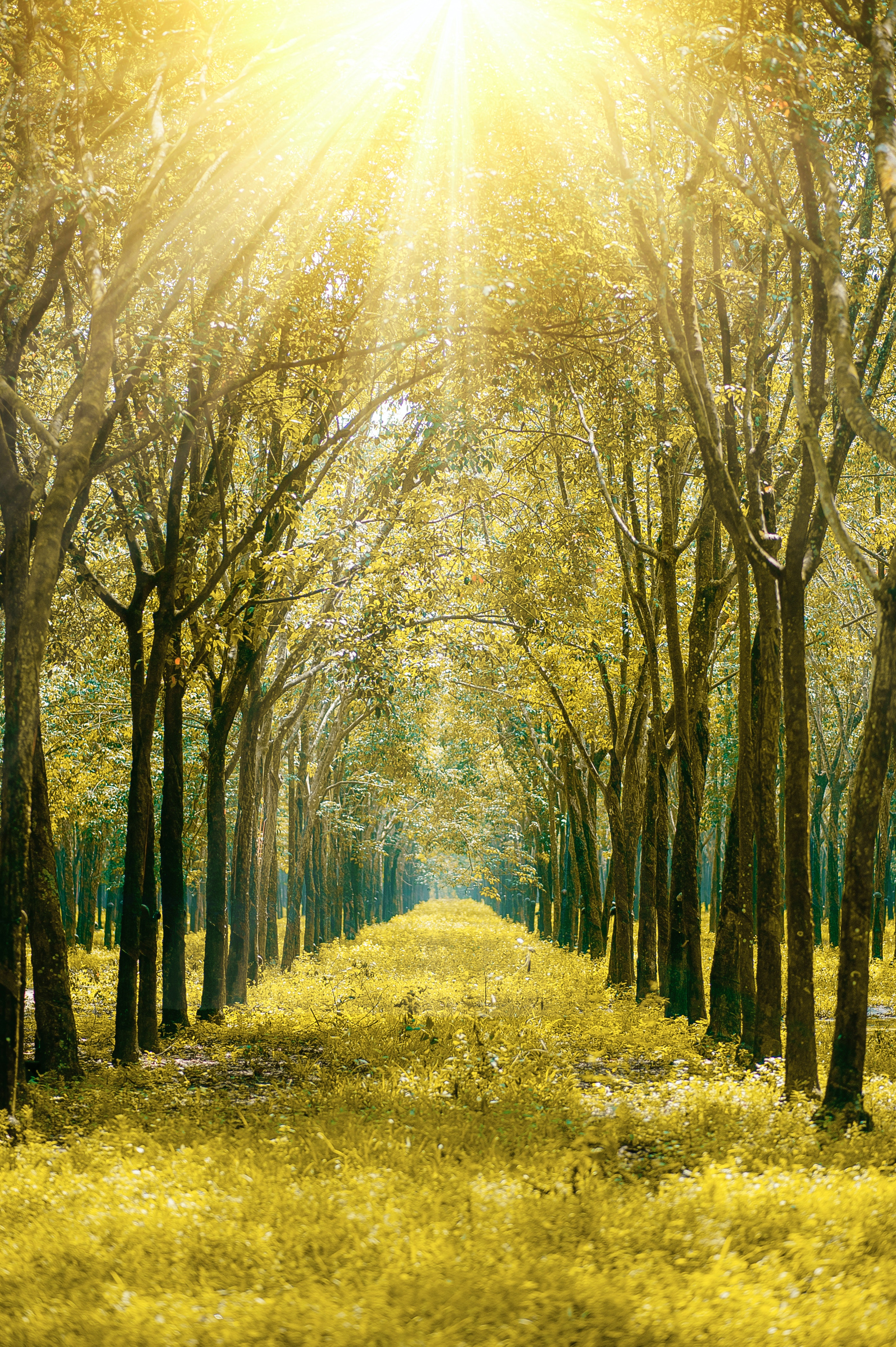 What is Follow-the-Sun Model? Implementing a Follow-the-Sun Model for ...