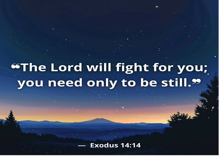 What is the Bible Verse Exodus 14:14? - biblestudy