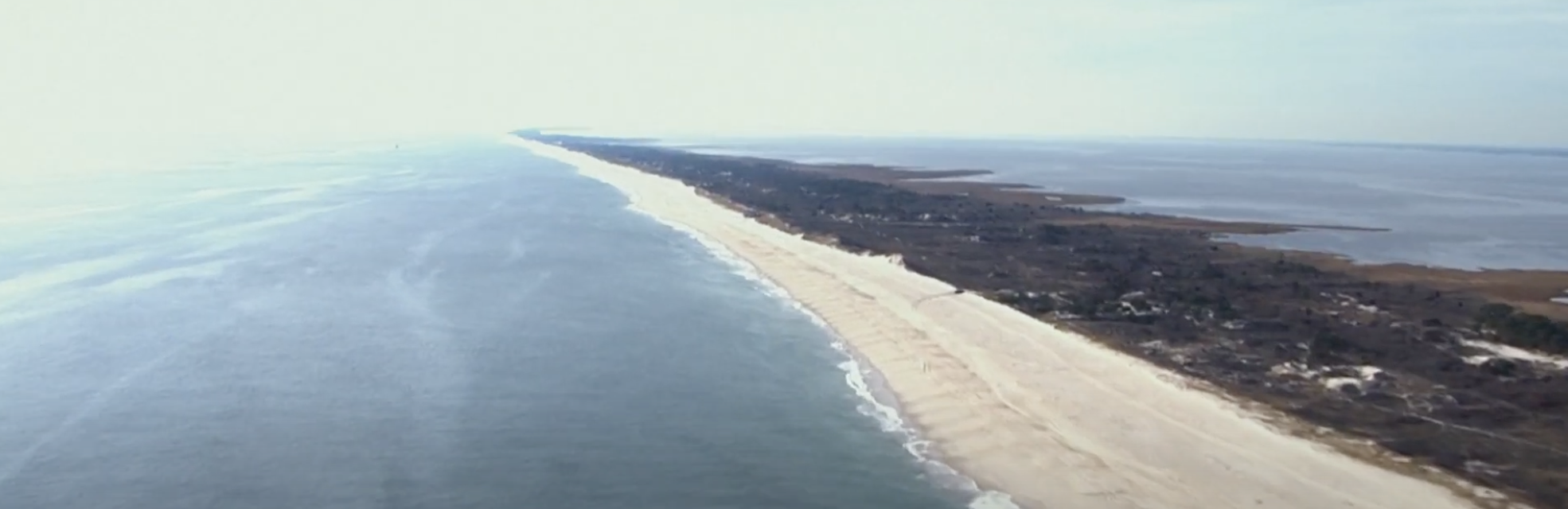 Moses On The Beach - by Steven Johnson - Adjacent Possible