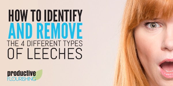 How to Identify and Remove the 4 Different Types of Leeches