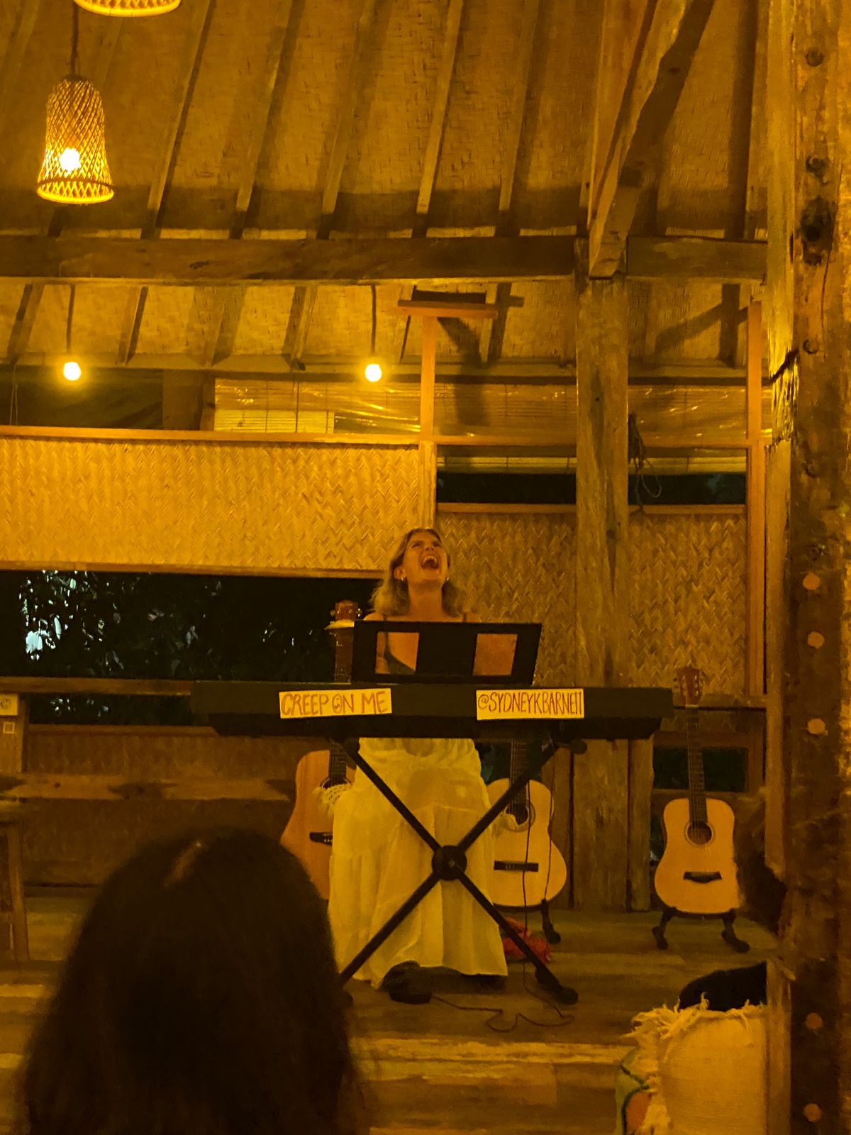 Creating Art in Bali: An Expat's Guide to Paradise and its Pitfalls