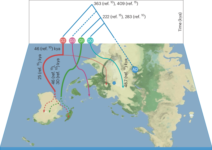 How Multiple Denisovan Populations Shaped Modern Human Genes
