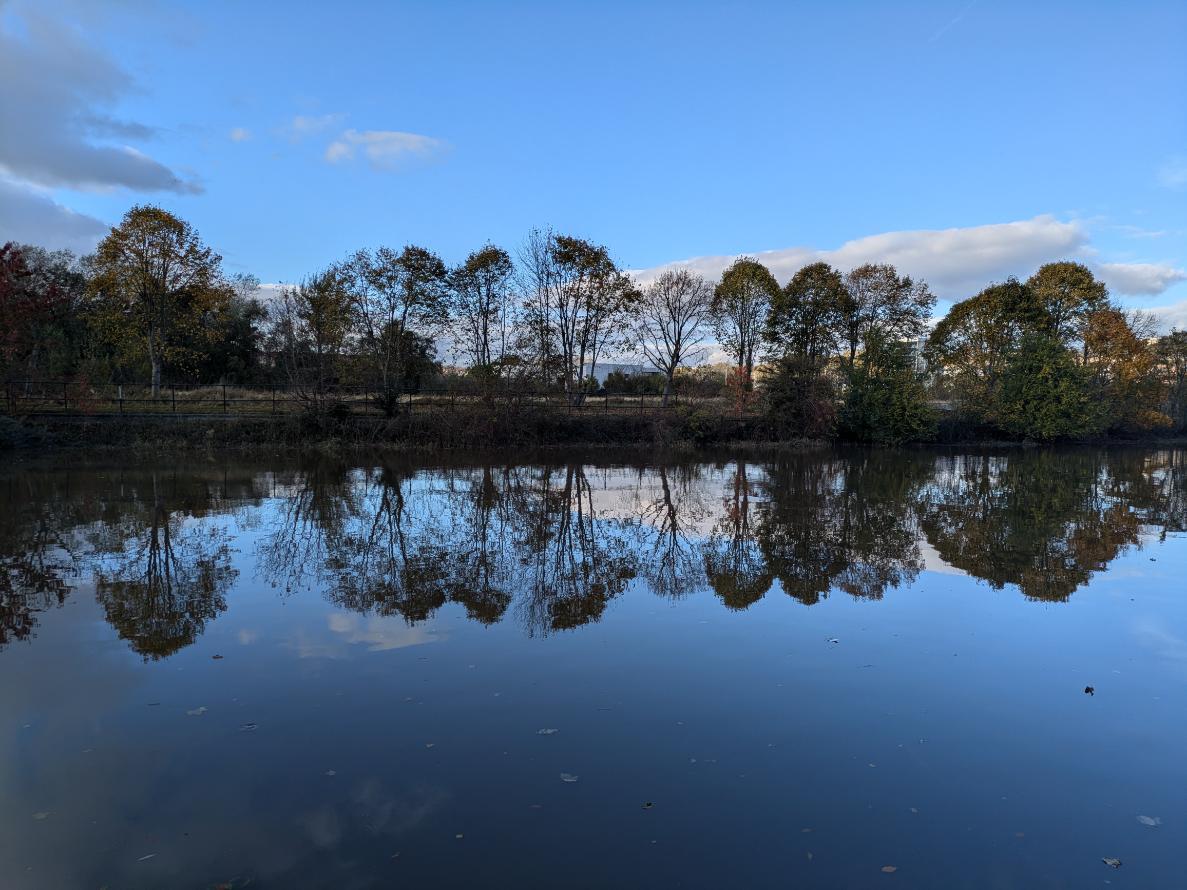 Green light for North East corridors of nature