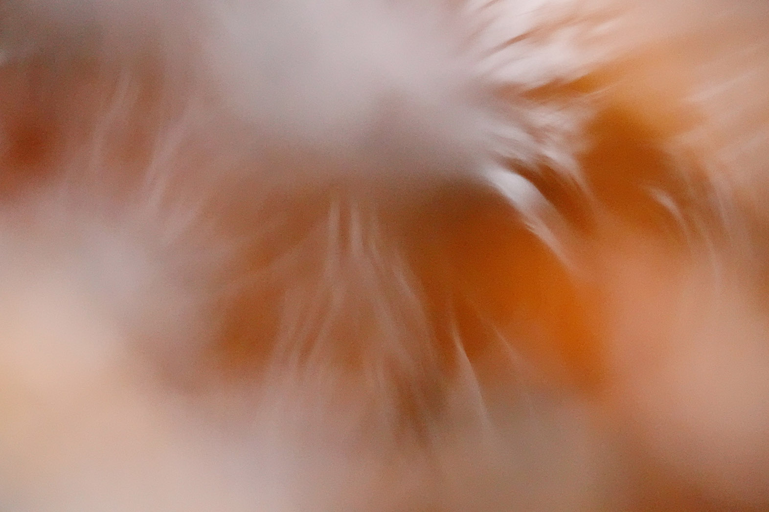 Hello Substack! - by Michela Griffith