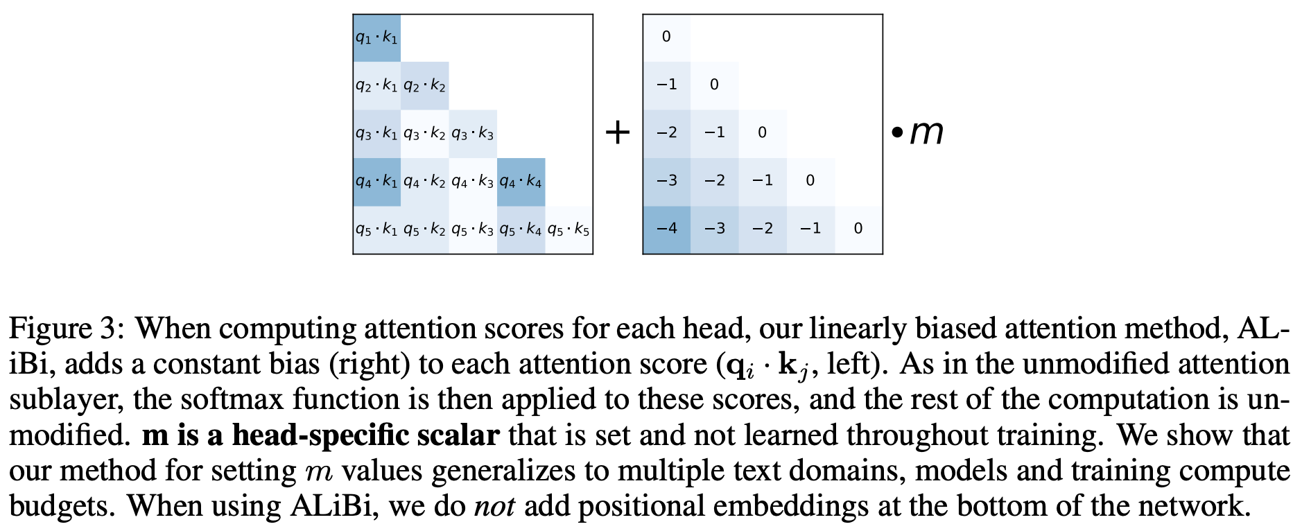 Decoder-Only Transformers: The Workhorse of Generative LLMs