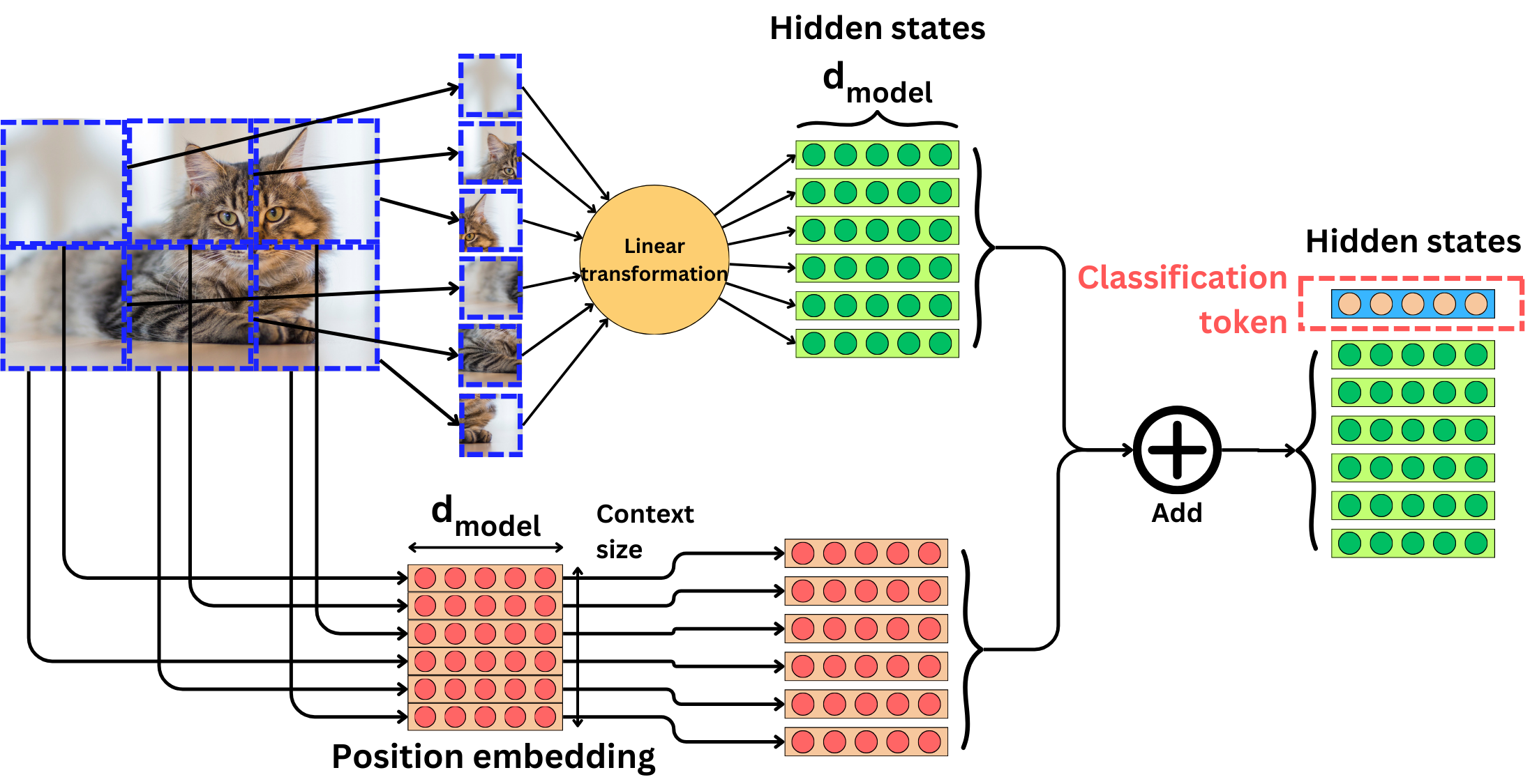 What is the Vision Transformer? - by Damien Benveniste