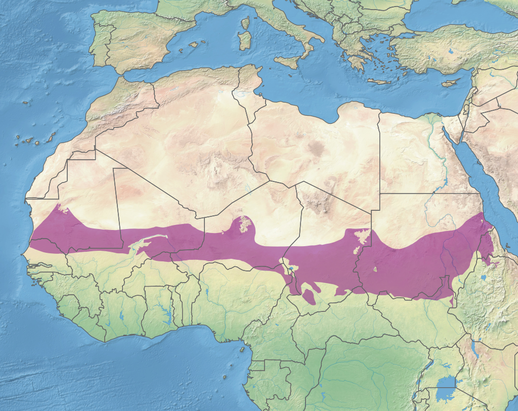 The Sahel - by JScott MItchell