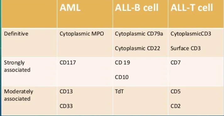 流式細胞儀在血液疾病的應用：入門 - by Gem Wu - 狐狸血液學 Fox Hematology 🦊🩸