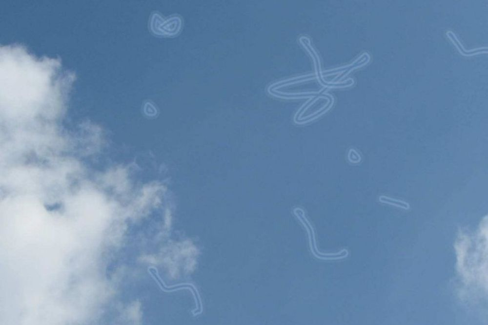 Those Tiny Dots You See in the Sky? You're Watching Your Own Blood Cells