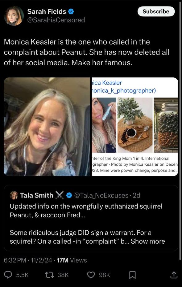 Texas Blogger Sarah Fields Admits to Publishing Fake News