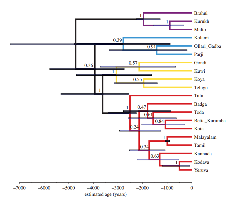 Oldest Language in India - by Amit Schandillia