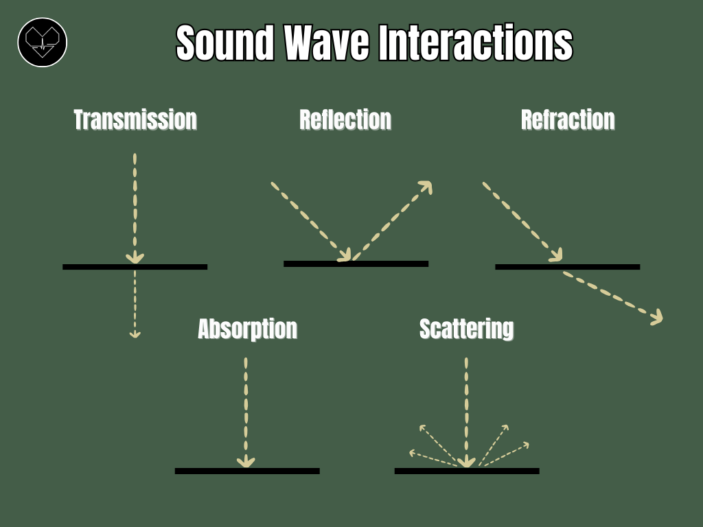 4 Tissue Sound Wave Concepts You Need to Know