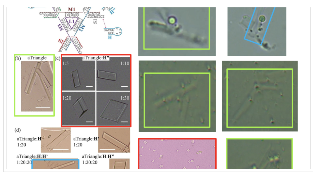 Mik Andersen’s 39 articles in English: Graphene injections and intra ...