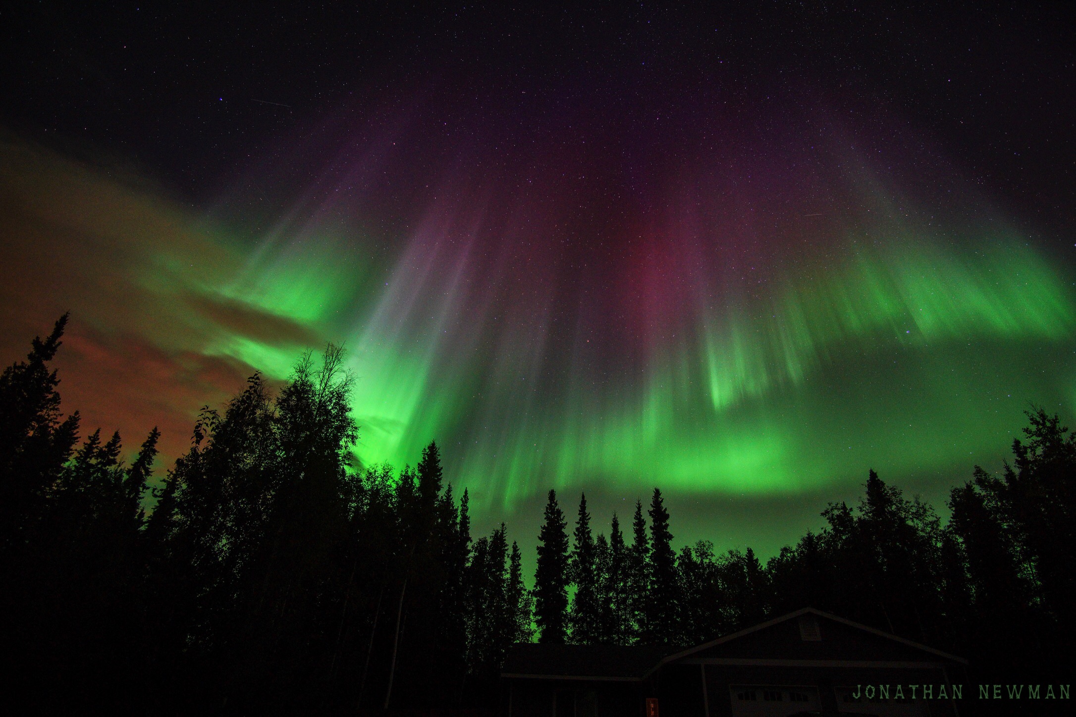 The History of the Wildcat Offense - by Kevin P. Crough