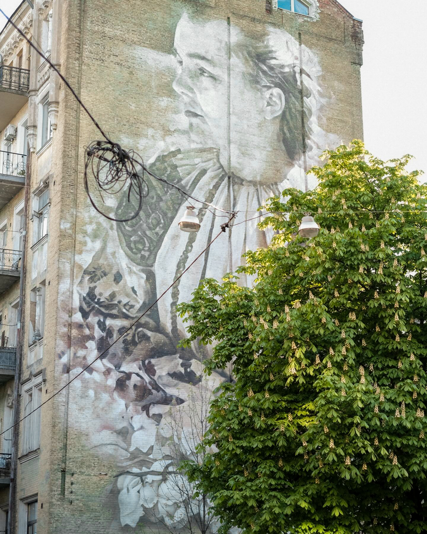 How chestnut trees became a symbol of Kyiv