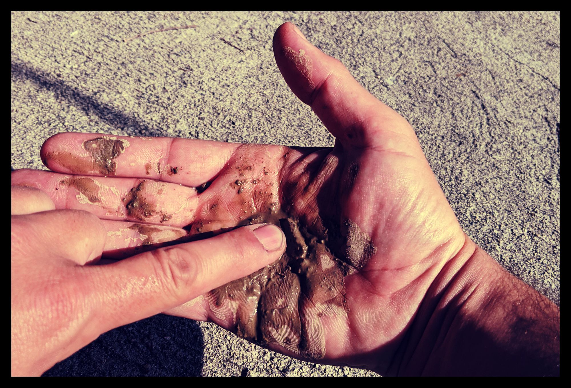 Test your Soil Texture by Hand - by Chris Bell