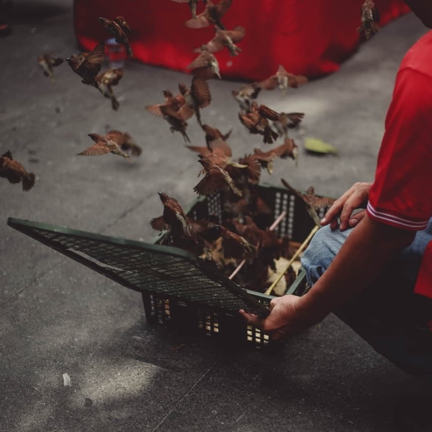 How Lunar New Year Adapts Across Southeast Asia