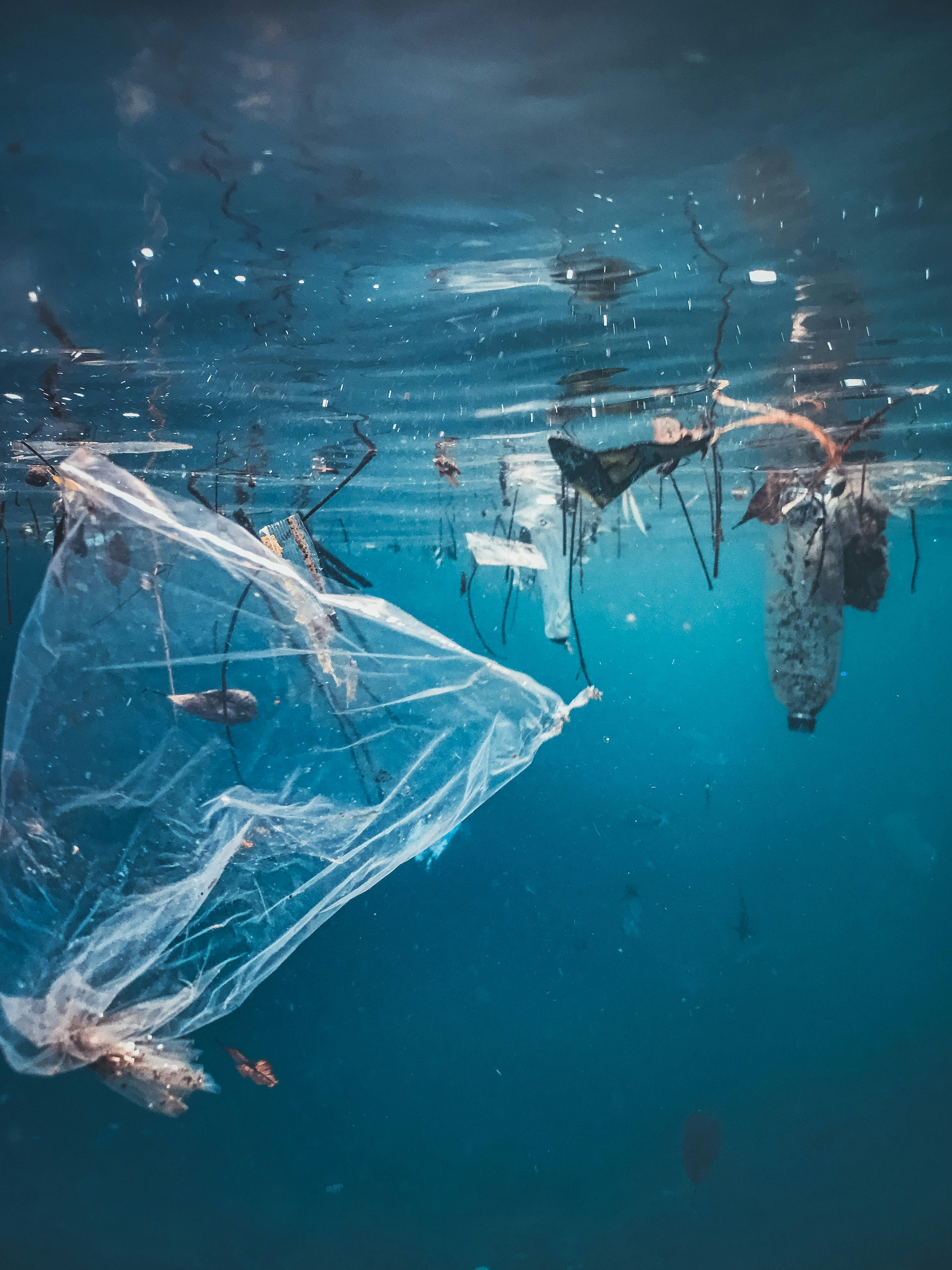 The Truth About Trash Island: A Growing Ocean Crisis