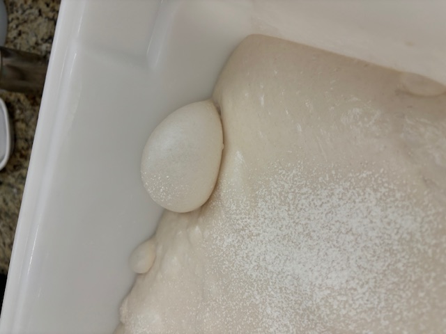 Signs Your Bulk Fermentation is Complete - by Mandy Clark