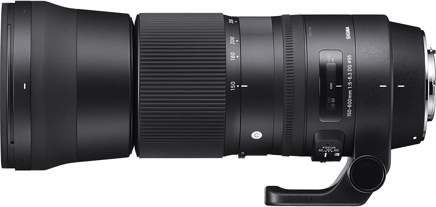Best Plane Spotting Lenses: In-Depth Review