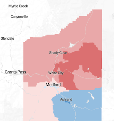 An extremely detailed map of the 2024 election