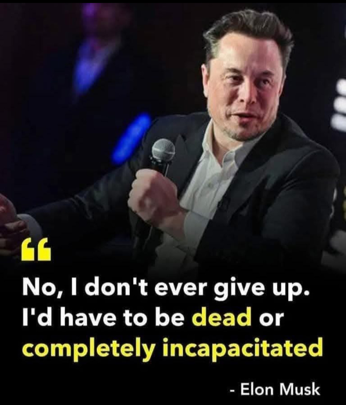 Lydia Royer on Substack: "Let’s try to accommodate the muskrat.