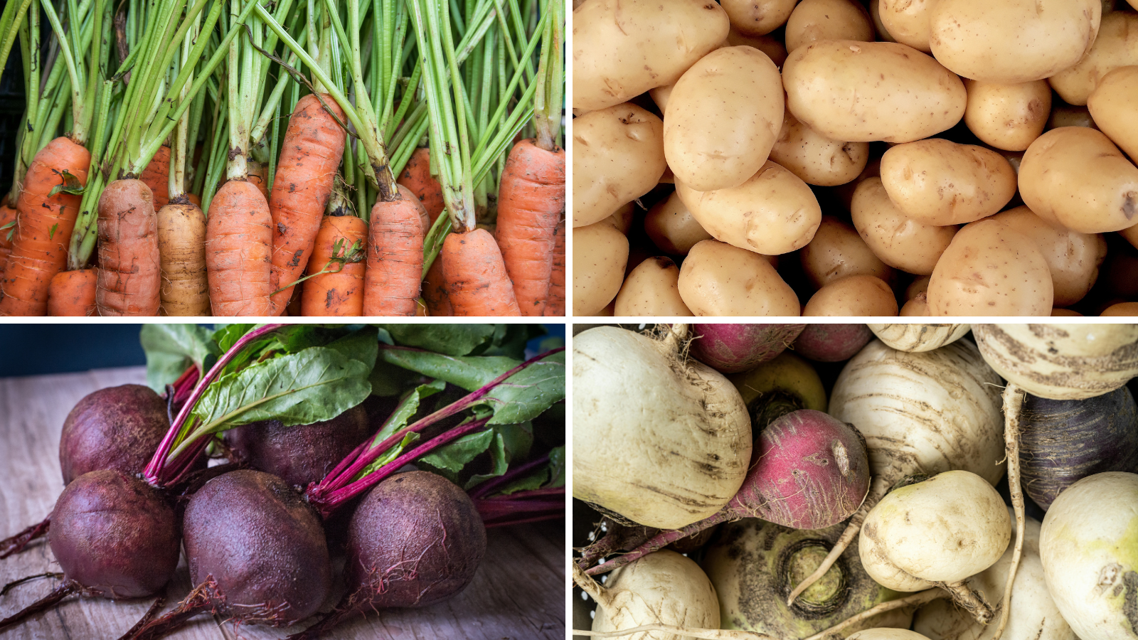 Root Cellars: The Forgotten Storage Method Making a Comeback