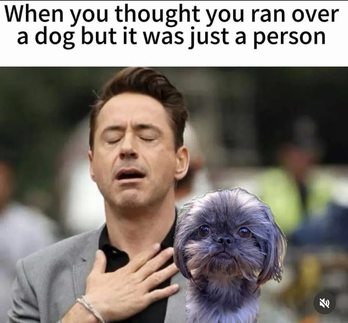 MEMES for Daze - Conspiracy Sarah