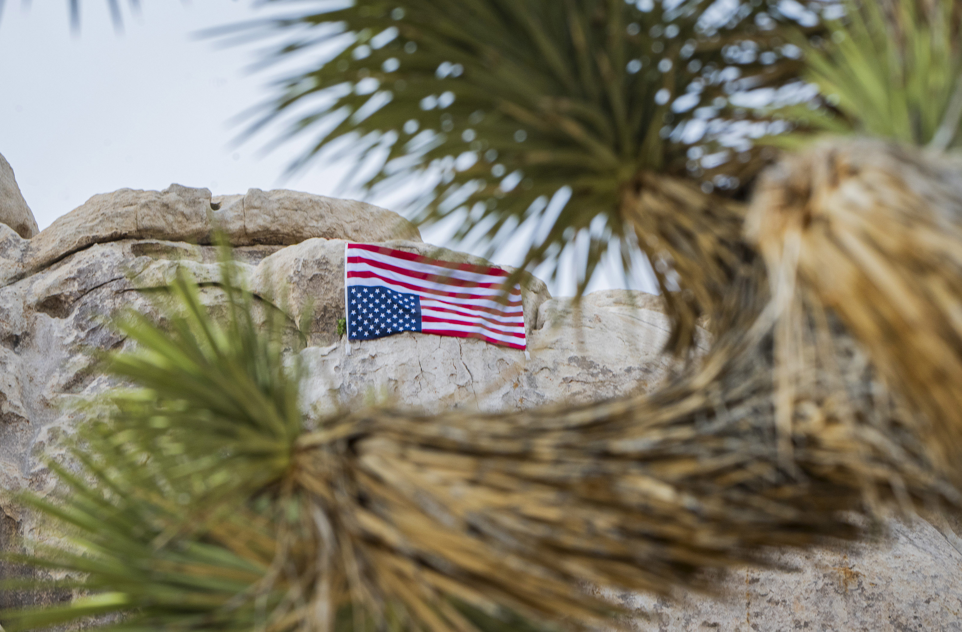 Join Resistance Rangers In Protest At All National Parks March 1