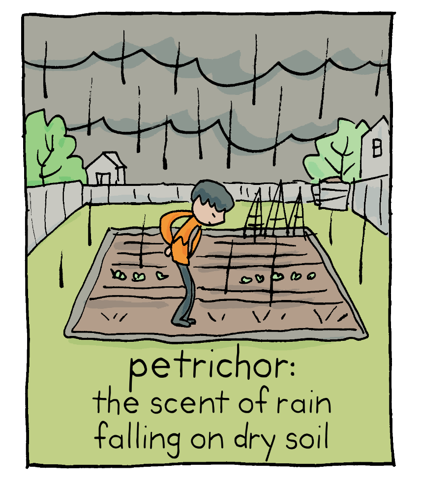 Introducing Words of Wonder - by Grant Snider
