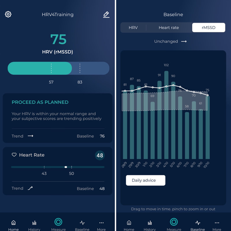 HRV4Training Pro: user guide - Marco Altini’s Substack