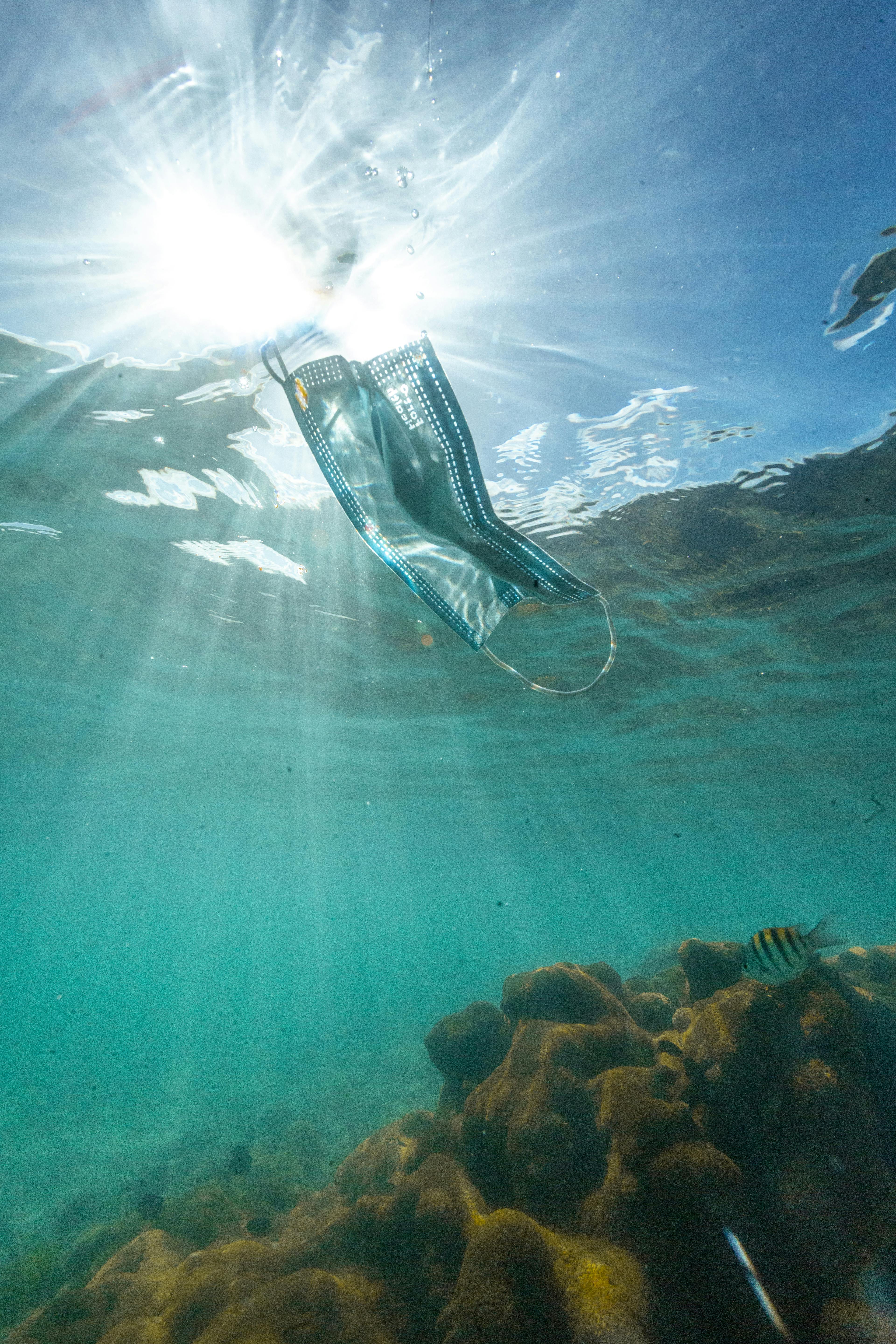 Microplastics in the Deep Sea: New Findings Highlight Widespread Pollution
