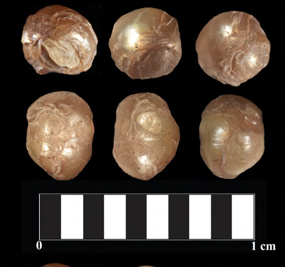 The ancient history of pearls - by Hannah - Archaeolog