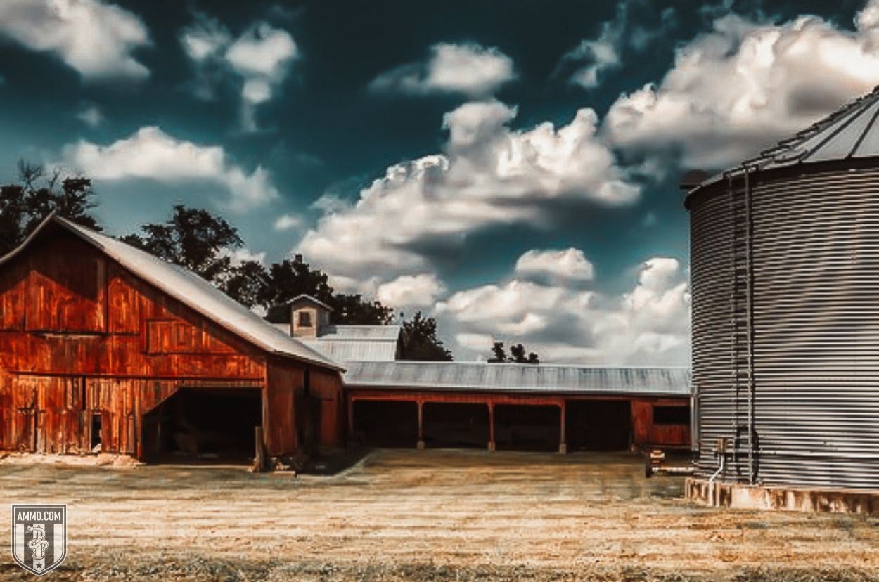 Most Gun Friendly States in 2025 | The Daily Bell