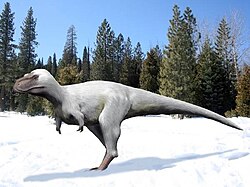 The Arctic Tyrant: Nanuqsaurus of the North Slope