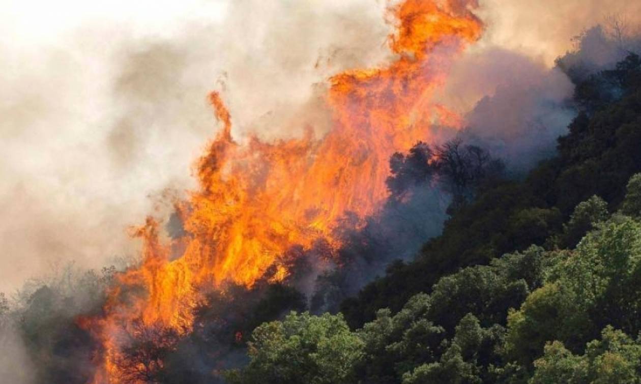Αφού κατακάψανε τη νοτιοδυτική Ζάκυνθο τώρα, καίνε Κ Α Ι ΤΗ ...