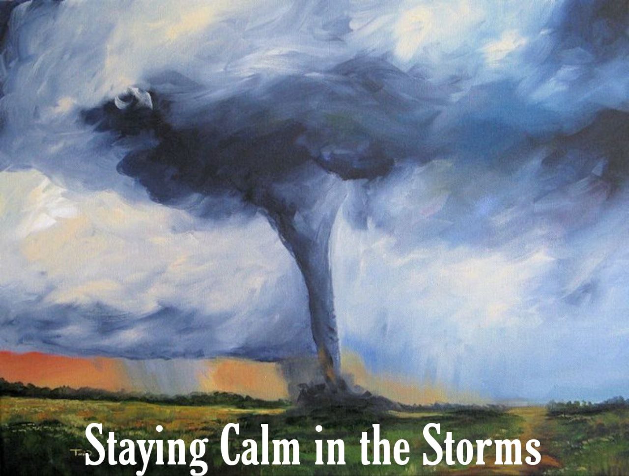 Staying Calm in the Storms - by Pepe Lives Matter