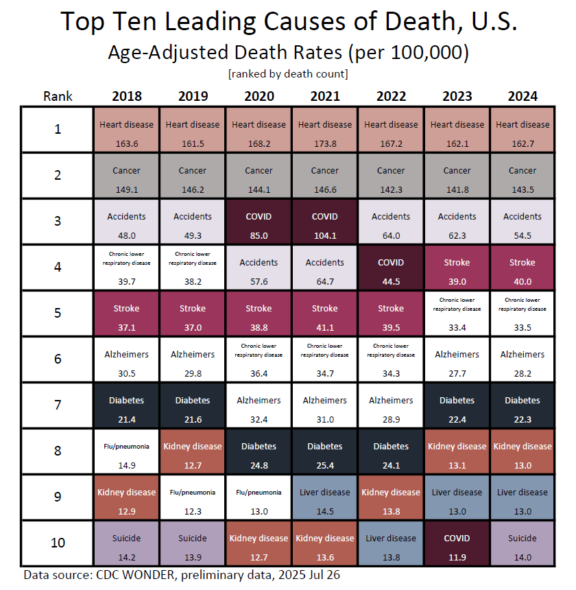 2024 U.S. Top Causes of Death by Age Group, Preliminary