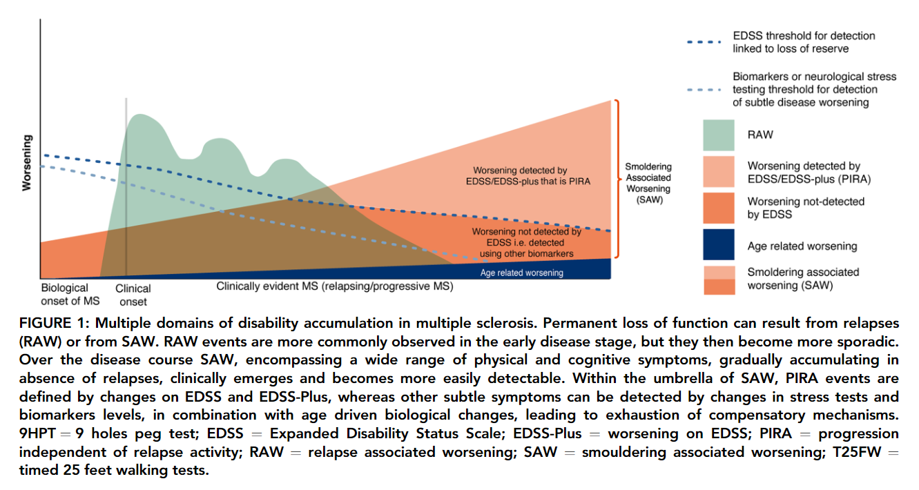 Smouldering multiple sclerosis: an international consensus
