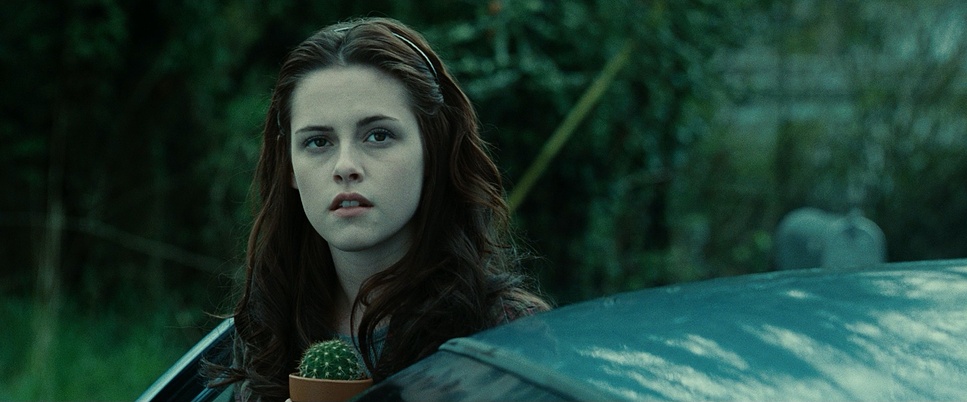 Twilight Structure Breakdown - by Rachel Elisabeth