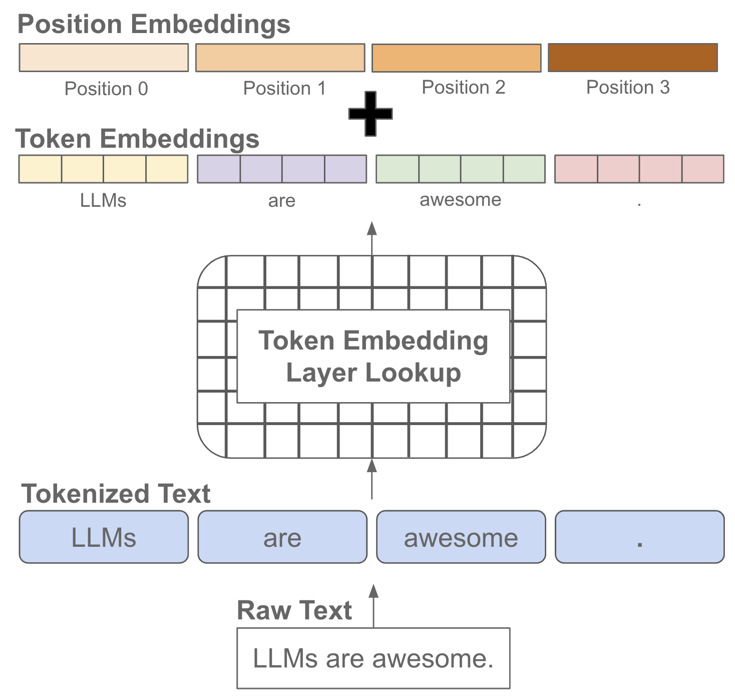 Language Model Training and Inference: From Concept to Code