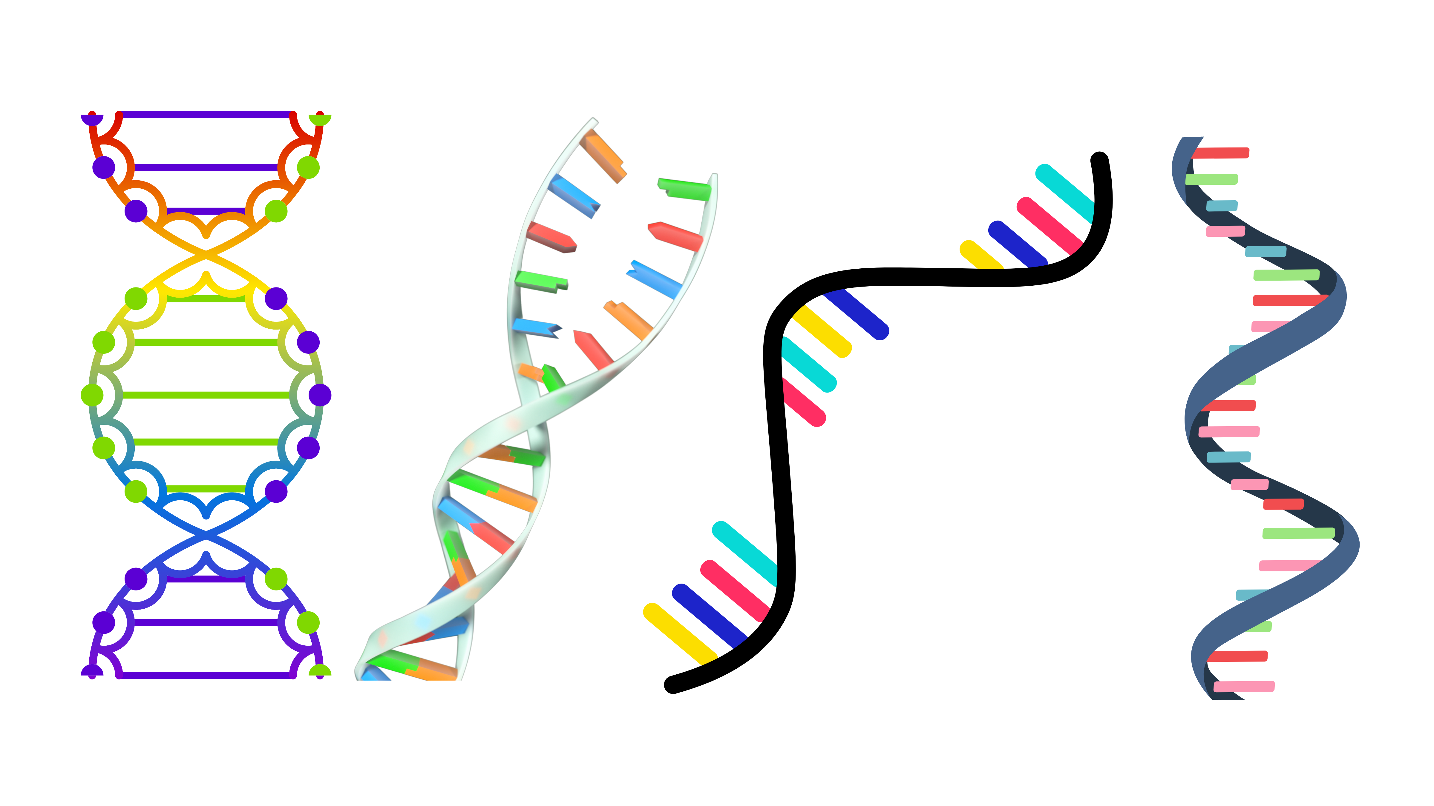 Understanding RNA-Based Therapies: From Antisense Oligonucleotides to mRNA