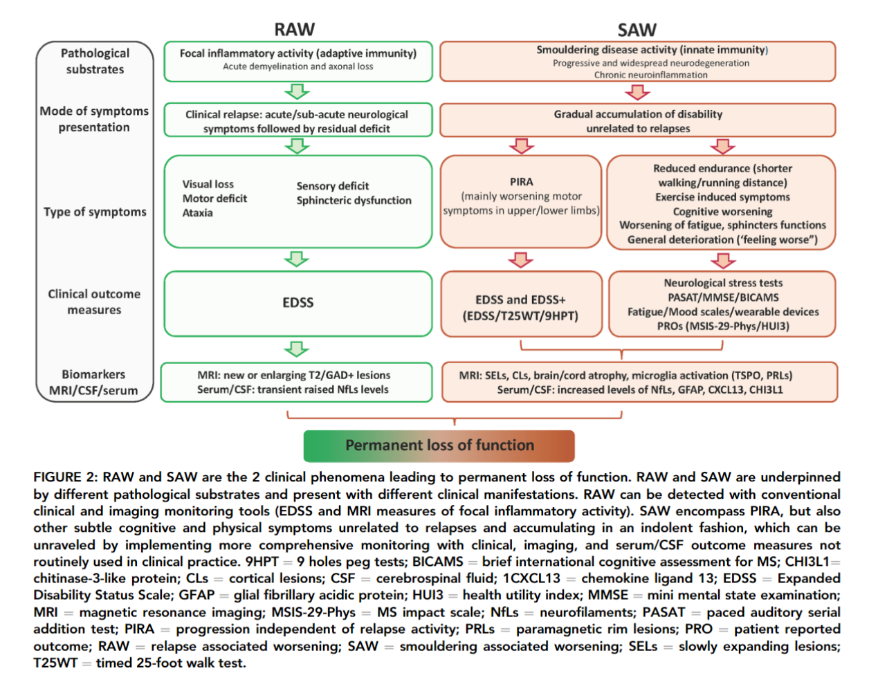 Smouldering multiple sclerosis: an international consensus
