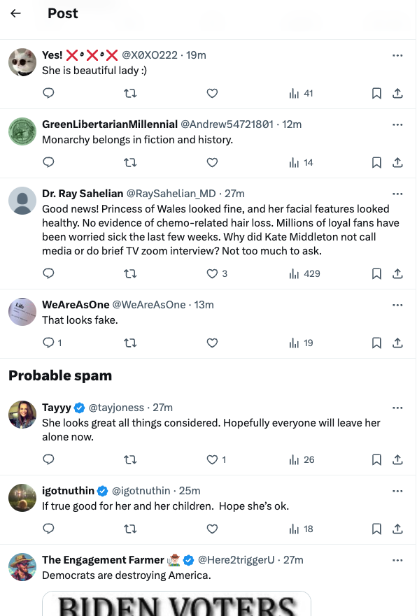 X changes 'show more replies' to 'probable SPAM' – but also hides ...