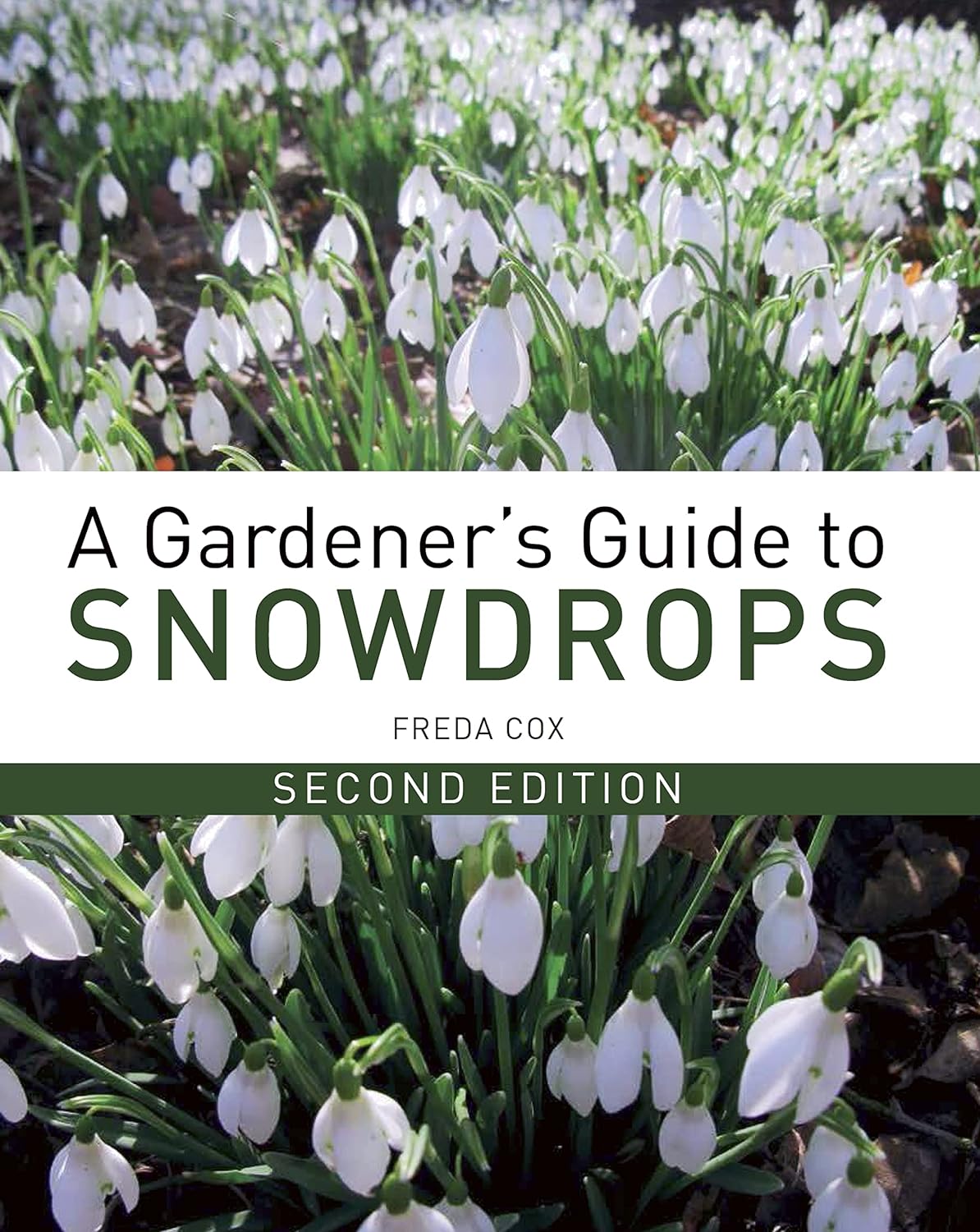 Shakespeare's Snowdrops: Galanthus Bred by Heyrick Greatorex