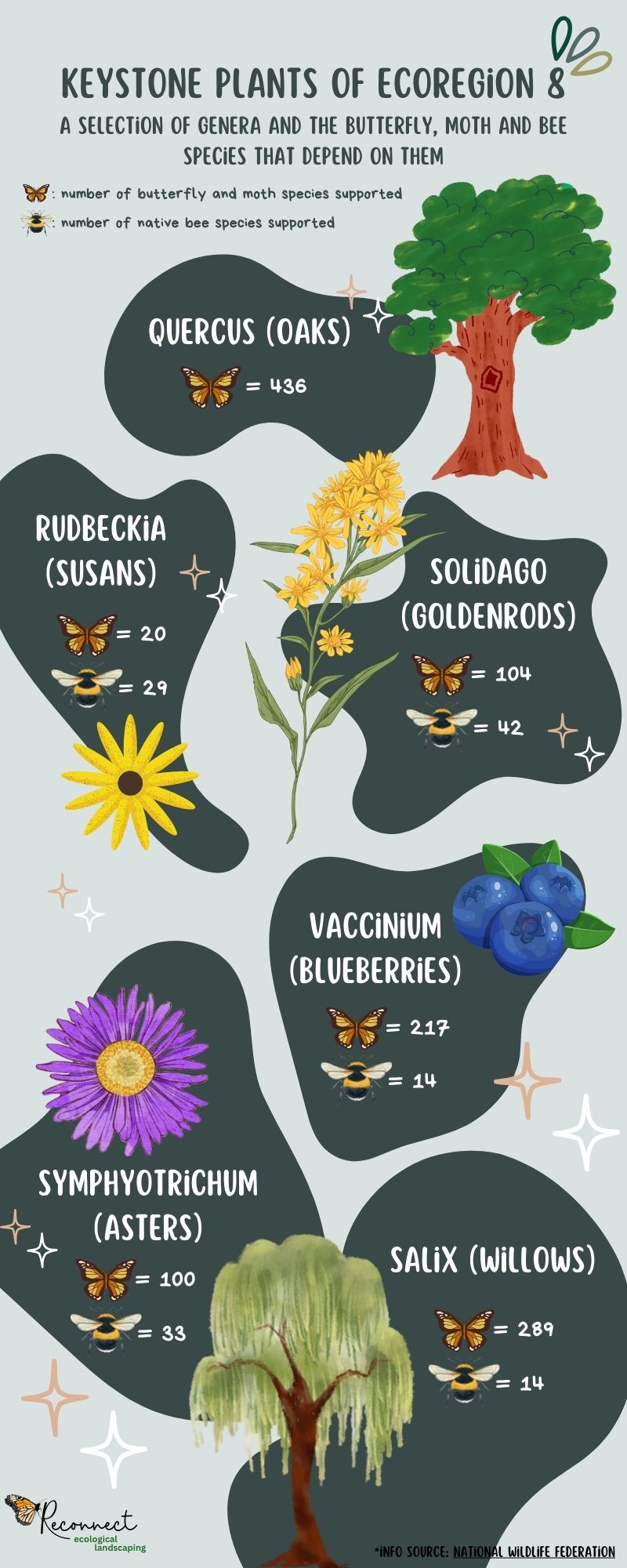 How to Create a Homegrown National Park in your Backyard